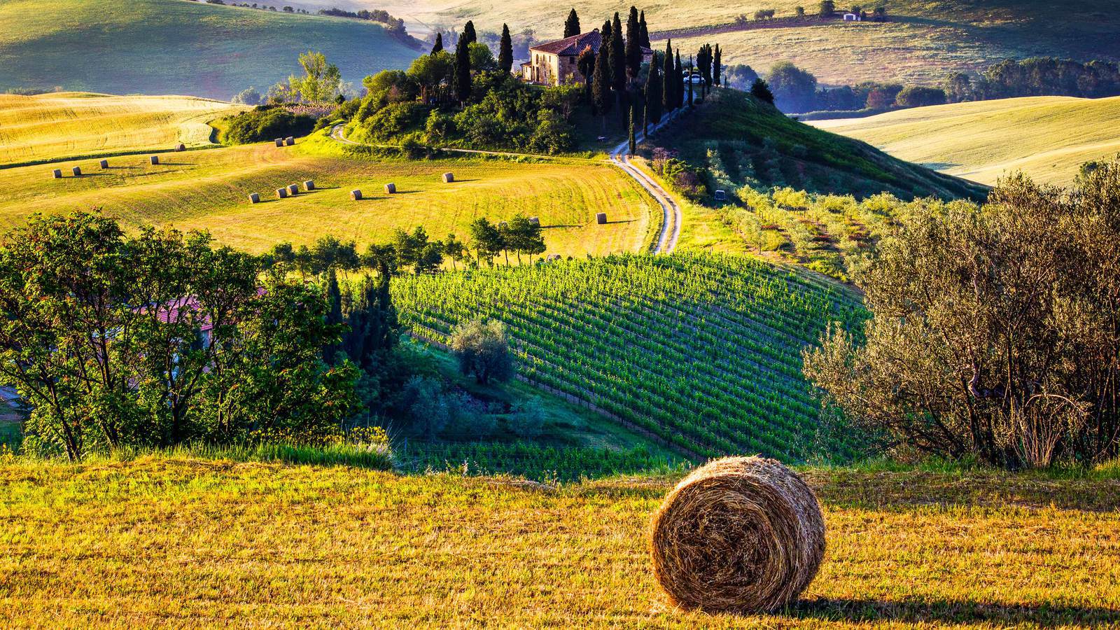 Vacanze nelle colline italiane, sole, relax e buon cibo